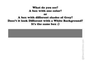 Optical Illusion: Grey Colored Box or Shades of Grey | BhaviniOnline.com