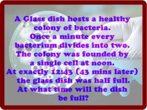 At What Time Will the Dish be Full of Bacteria | BhaviniOnline.com