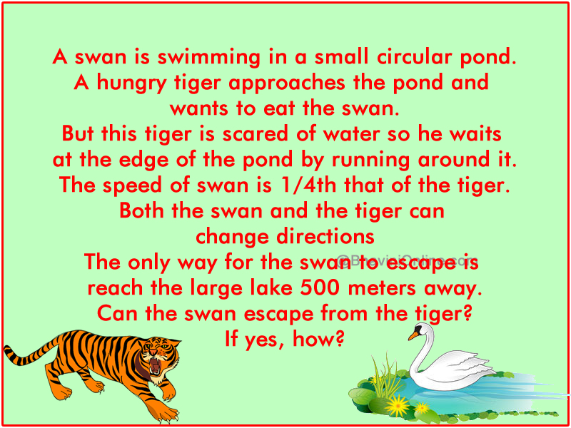 Forest Riddle: How Will the Swan Escape From the Tiger? | BhaviniOnline.com