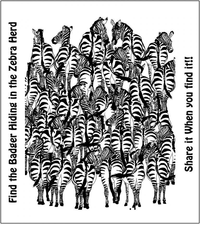 Picture Riddle: Find the Badger Hiding in the Zebra Herd ...