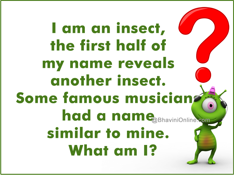 Word Riddle Games: The First Half Of My Name Reveals Another Insect ...