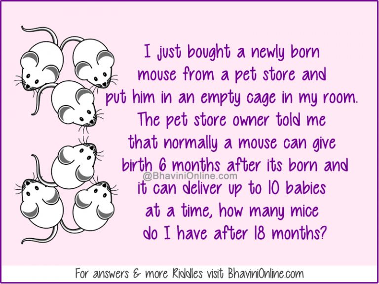 Fun Riddle: How Many Mice Do I Have After 18 Months? | BhaviniOnline.com