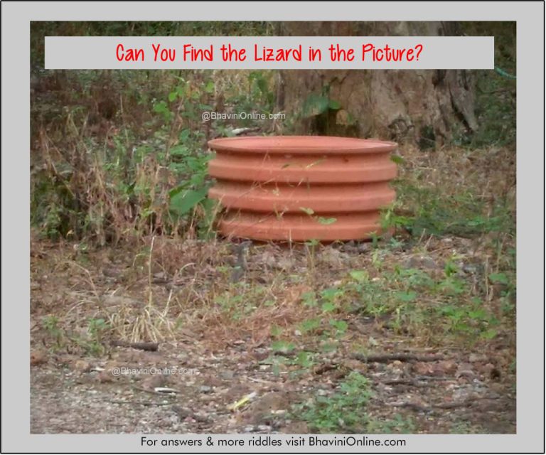 Picture Riddle: Can You See a Lizard in the Given Photo ...