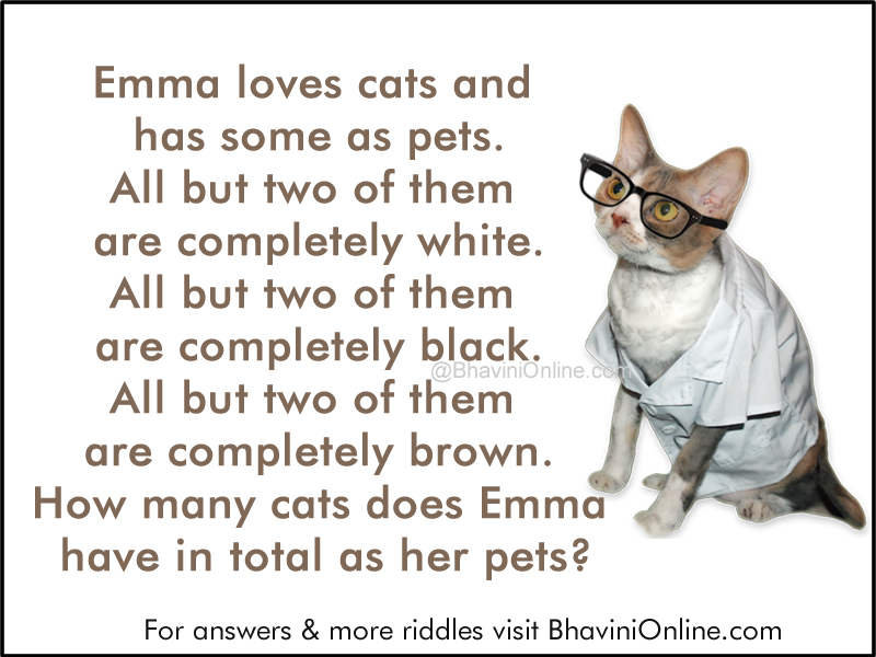 Brain Teasers: How Many Cats Does Emma Have In Total As Her Pets ...