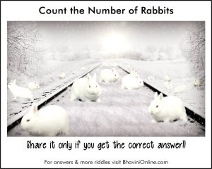Picture Riddle: Count the Number of Rabbits | BhaviniOnline.com