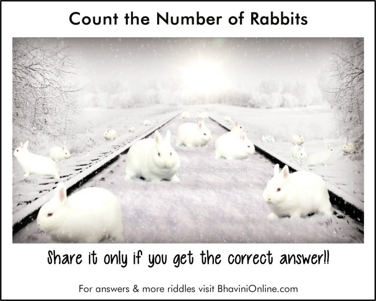Picture Riddle: Count the Number of Rabbits | BhaviniOnline.com