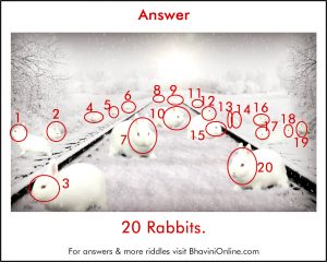 Picture Riddle: Count the Number of Rabbits | BhaviniOnline.com