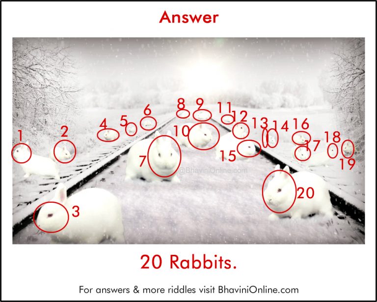 Picture Riddle: Count the Number of Rabbits | BhaviniOnline.com