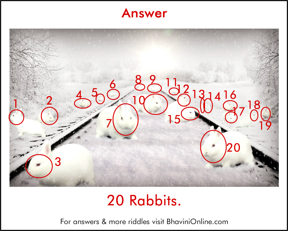 Picture Riddle: Count the Number of Rabbits | BhaviniOnline.com