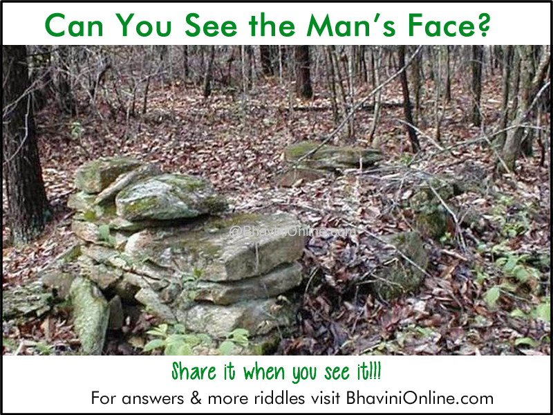 Picture Riddle: Can You See The Man's Face Hidden in the Photo ...